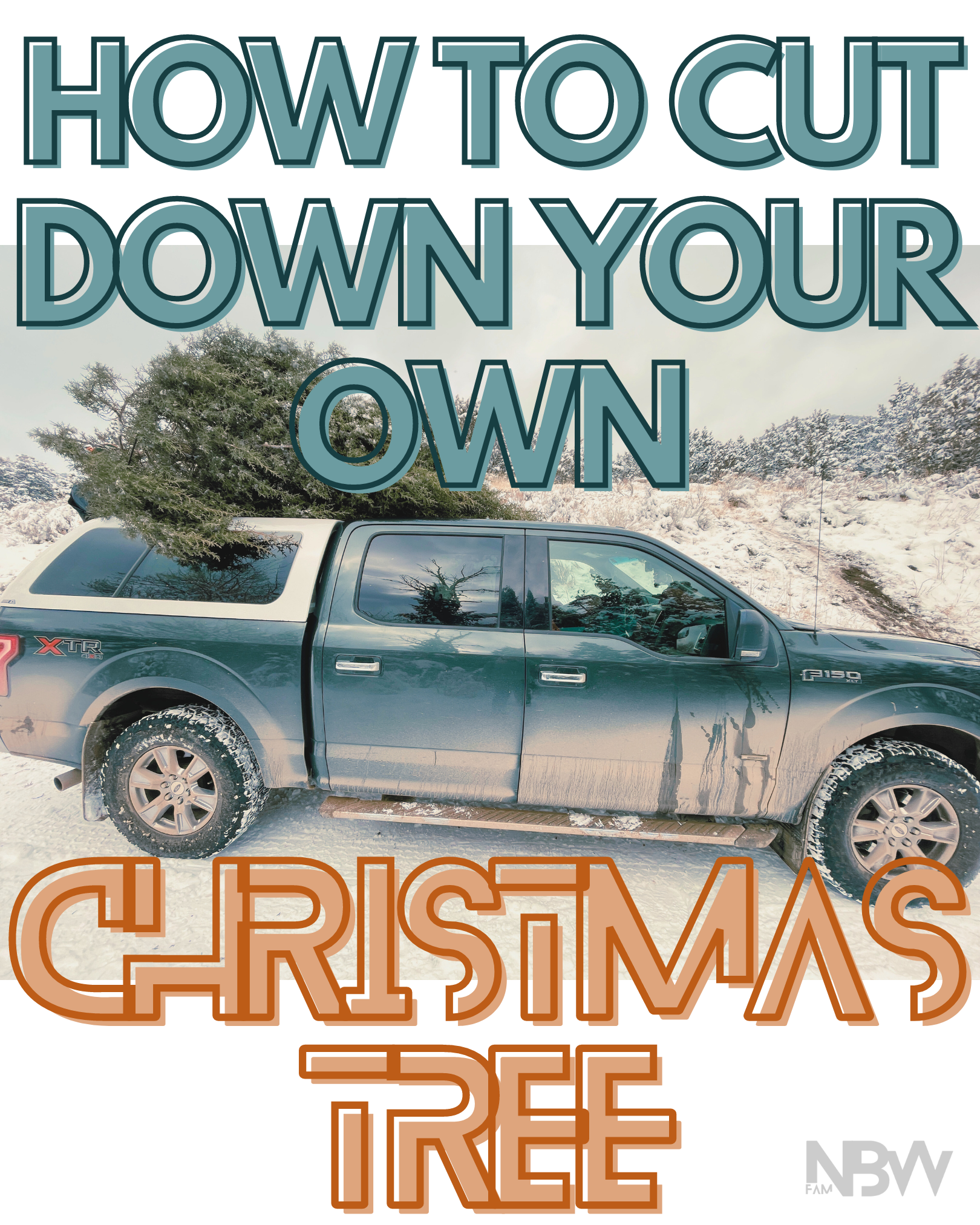 How to cut down your own Christmas Tree – No Bad Weather Fam
